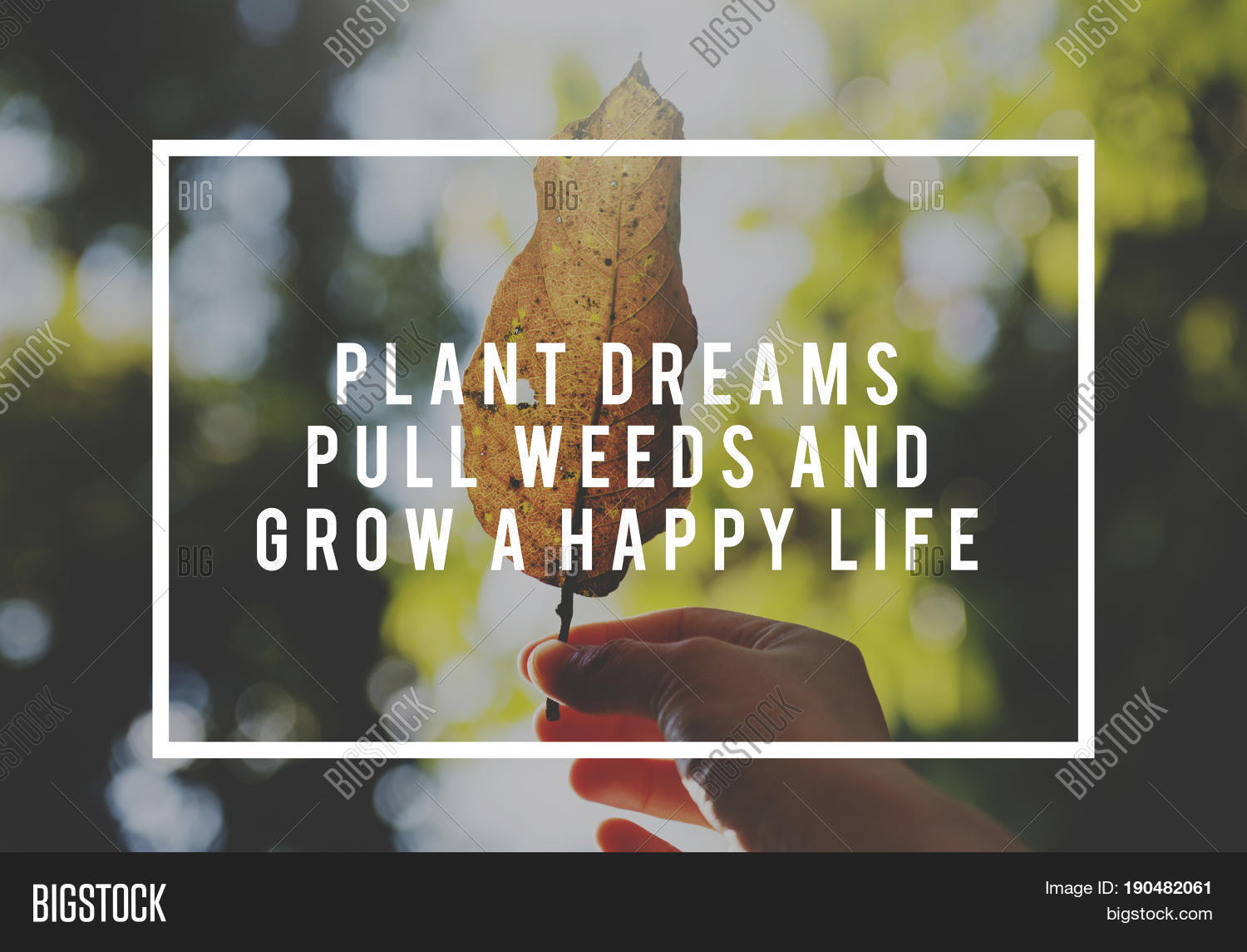 Life Motivation Image & Photo (Free Trial) | Bigstock