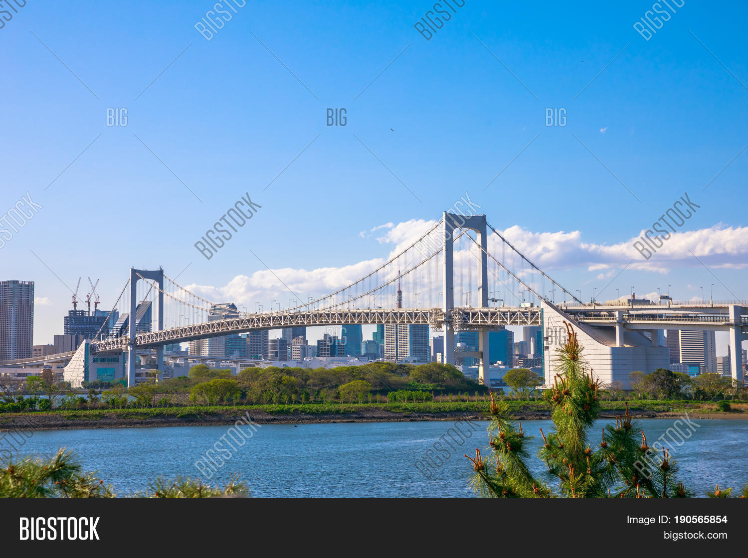 Rainbow Bridge Tokyo Image & Photo (Free Trial) | Bigstock