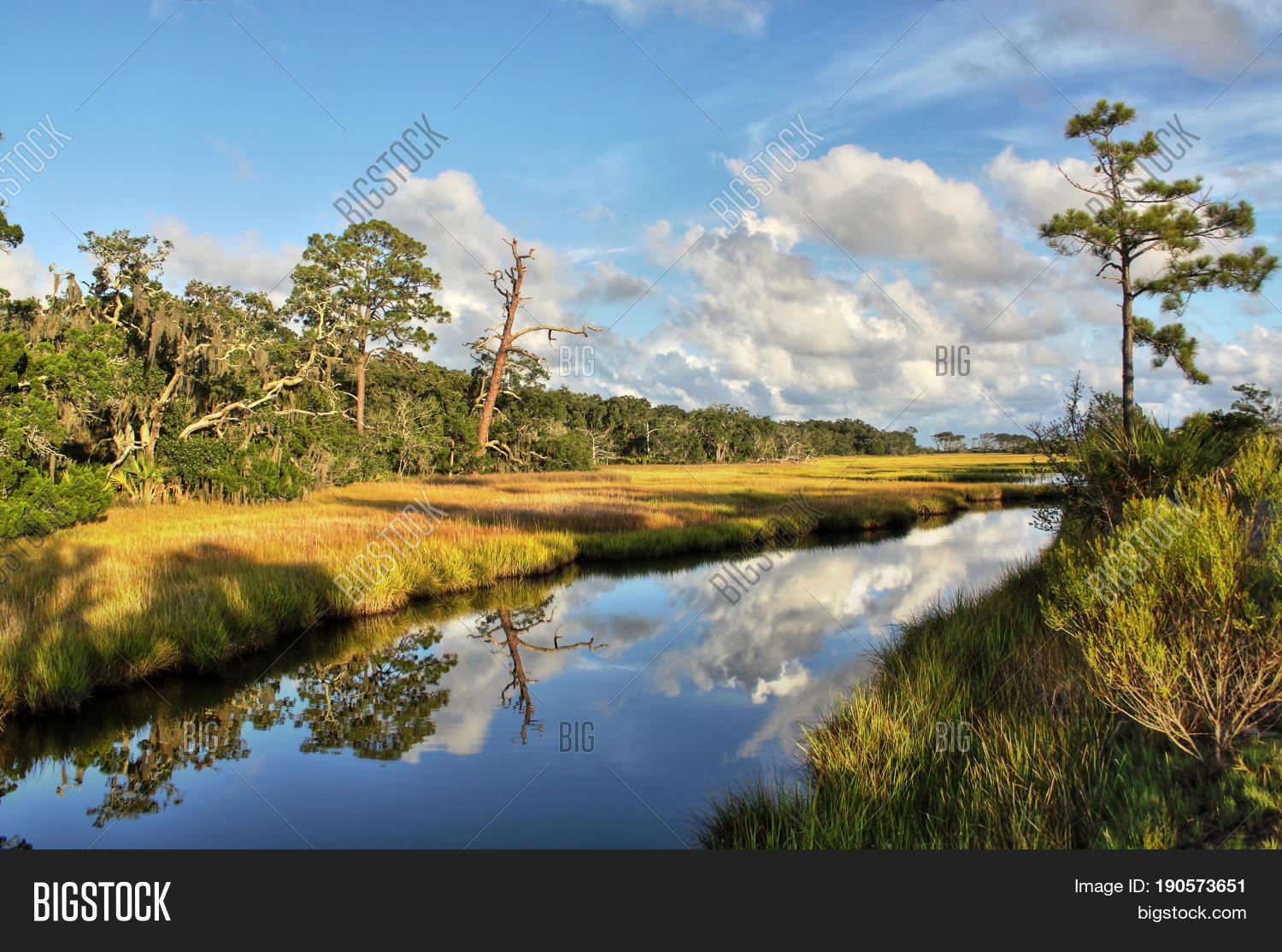 Salt Marsh Clam Creek Image & Photo (Free Trial) | Bigstock
