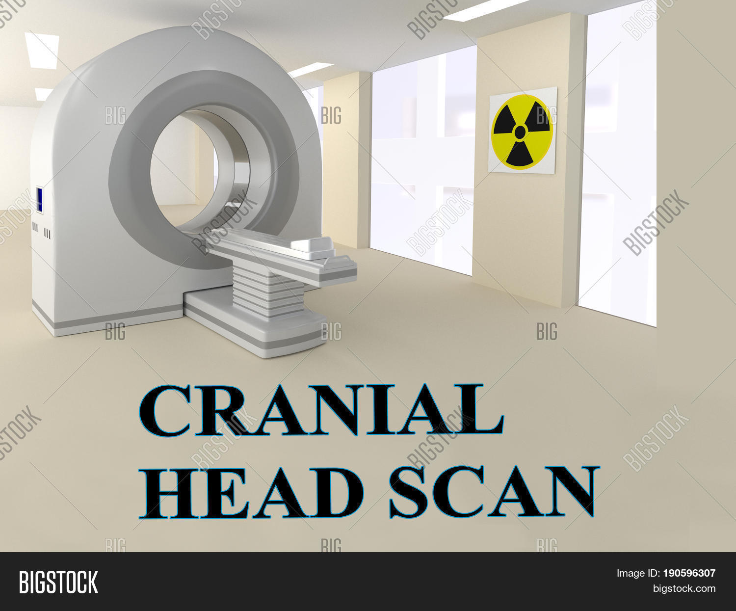 Cranial Head Scan Image & Photo (Free Trial) | Bigstock