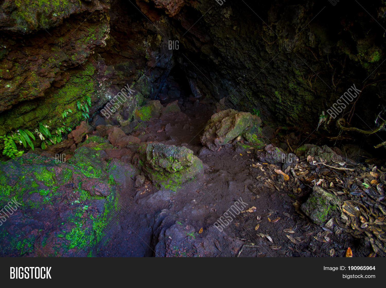 Beautiful Dark Cave Image & Photo (Free Trial) | Bigstock