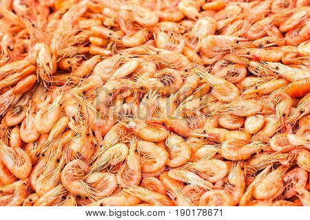 Shrimps Background Image & Photo (Free Trial) | Bigstock