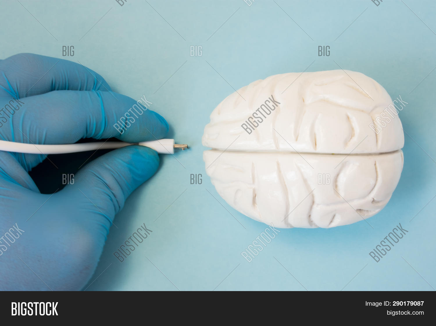 Brain Plug Concept Image & Photo (Free Trial) | Bigstock