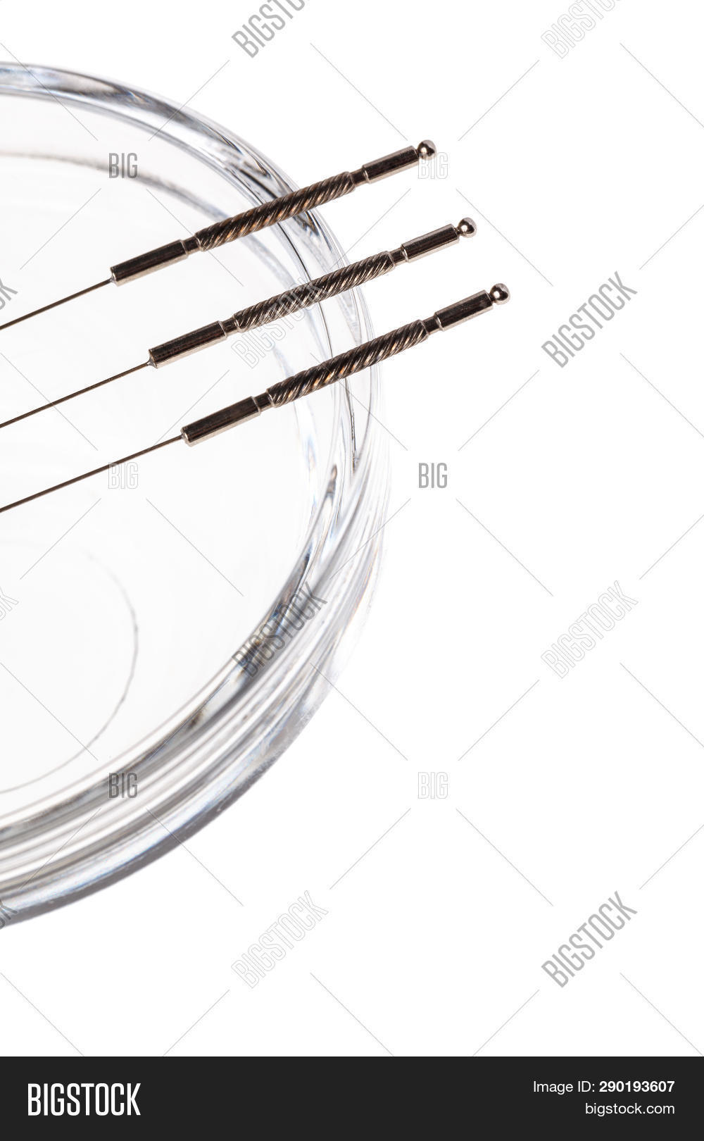 Silver Needles Image & Photo (Free Trial) | Bigstock