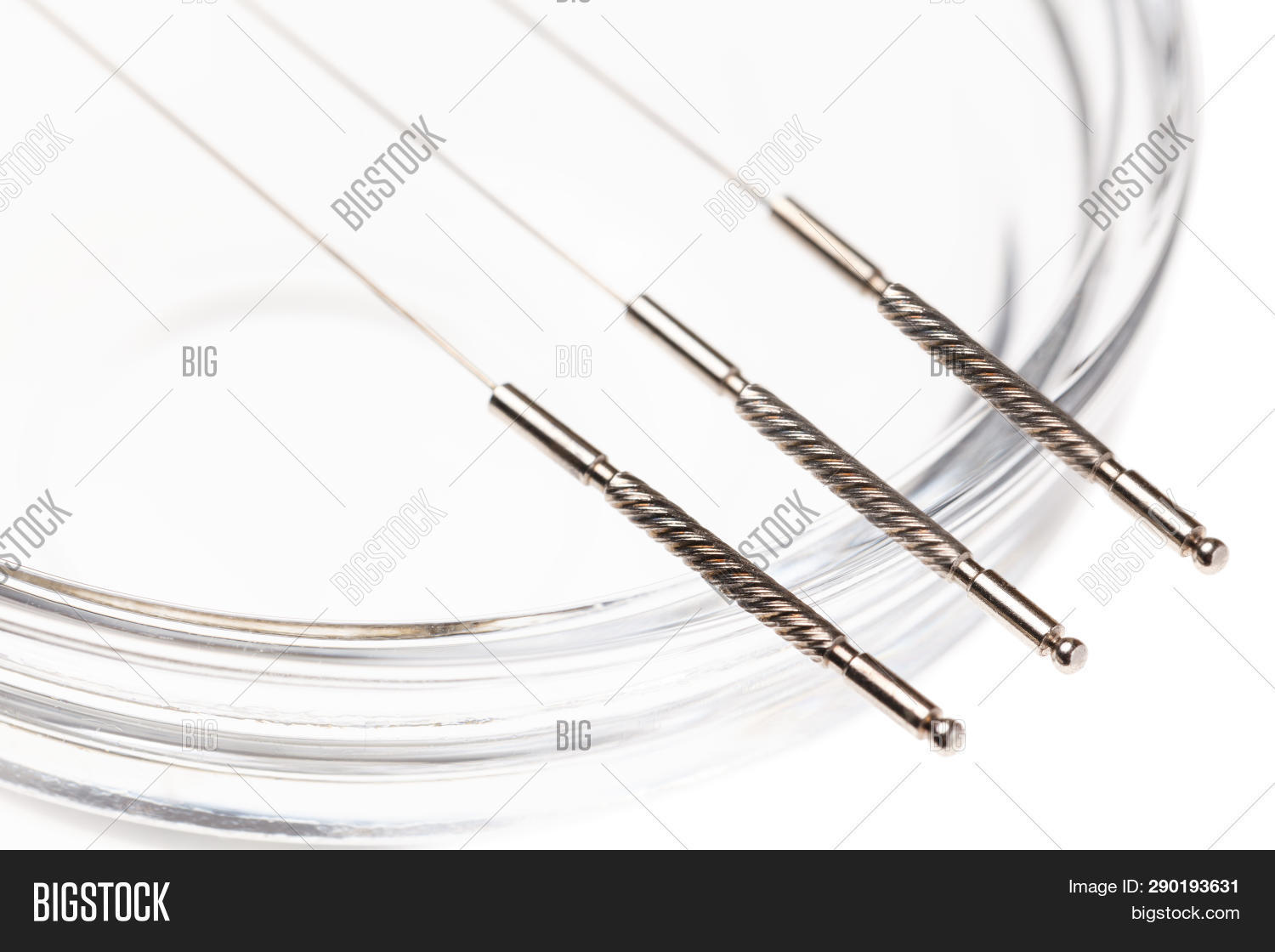 Silver Needles Image & Photo (Free Trial) | Bigstock