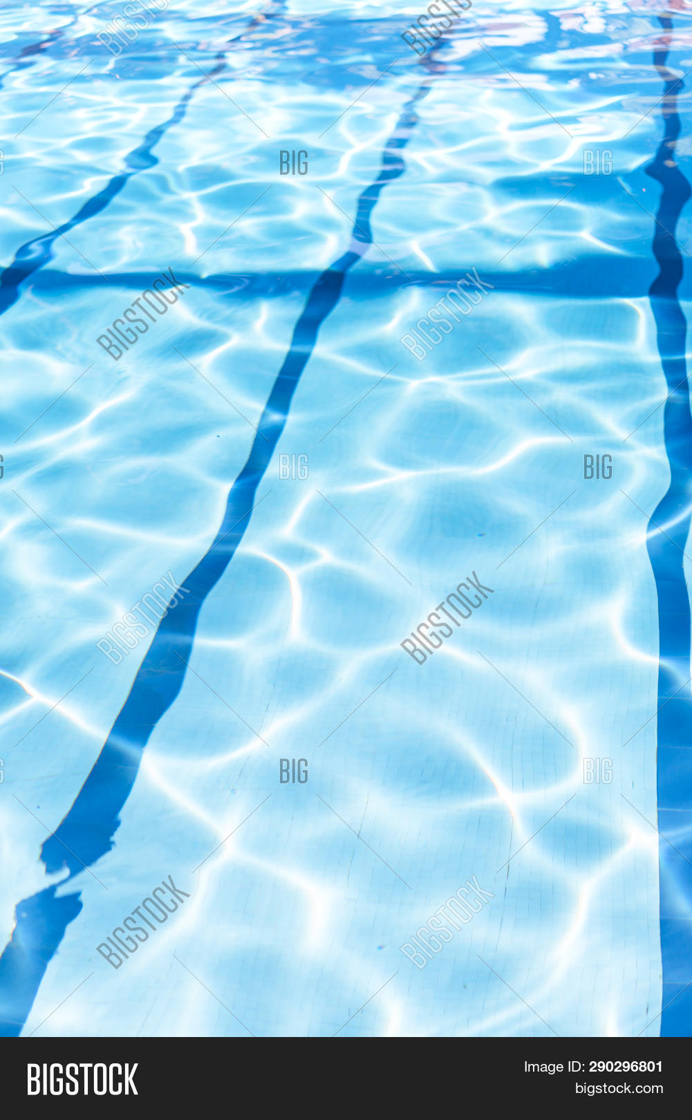 Ripple Water Swimming Image & Photo (Free Trial) | Bigstock