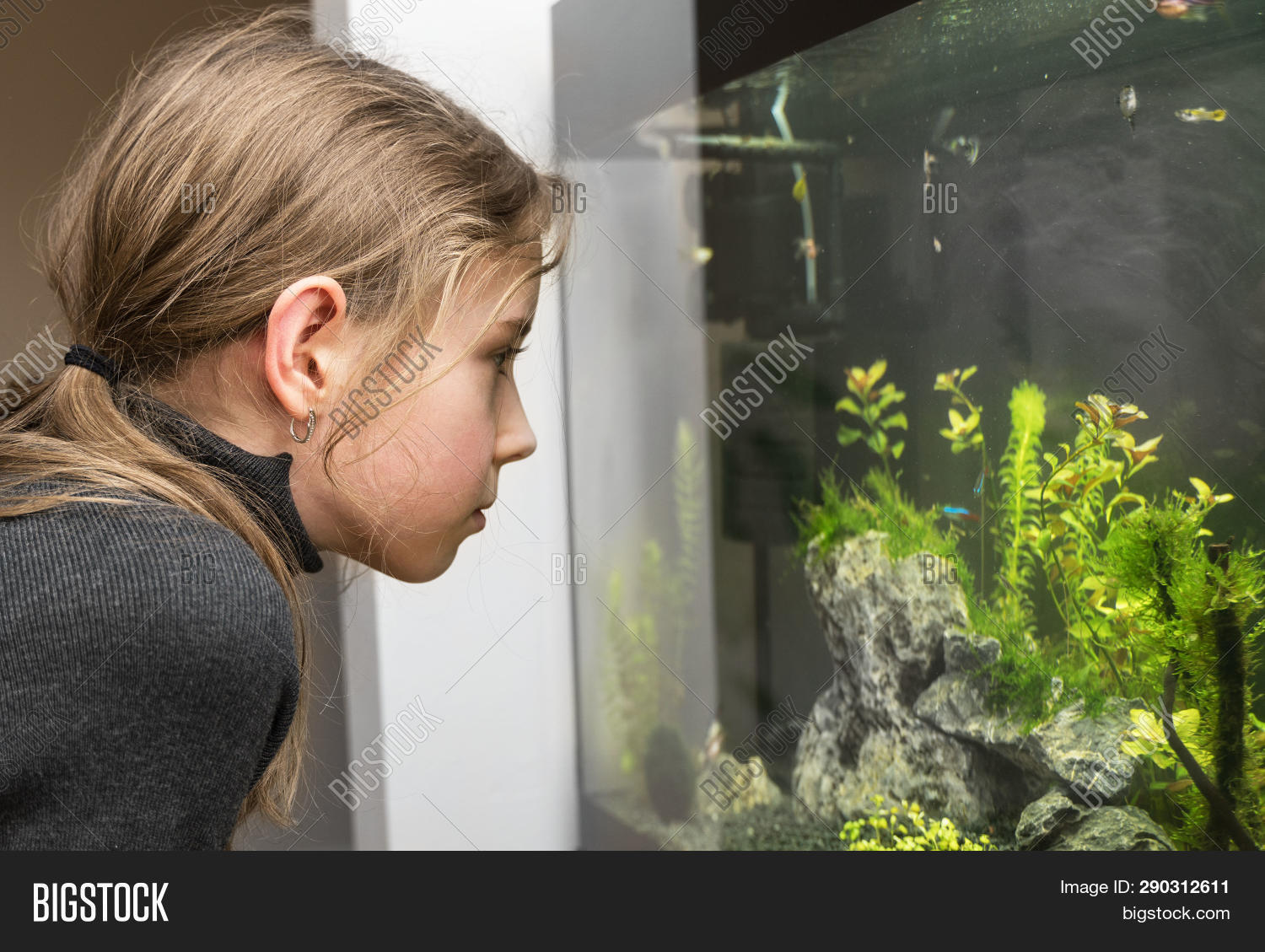 Little Girl Looks Fish Image & Photo (Free Trial) | Bigstock