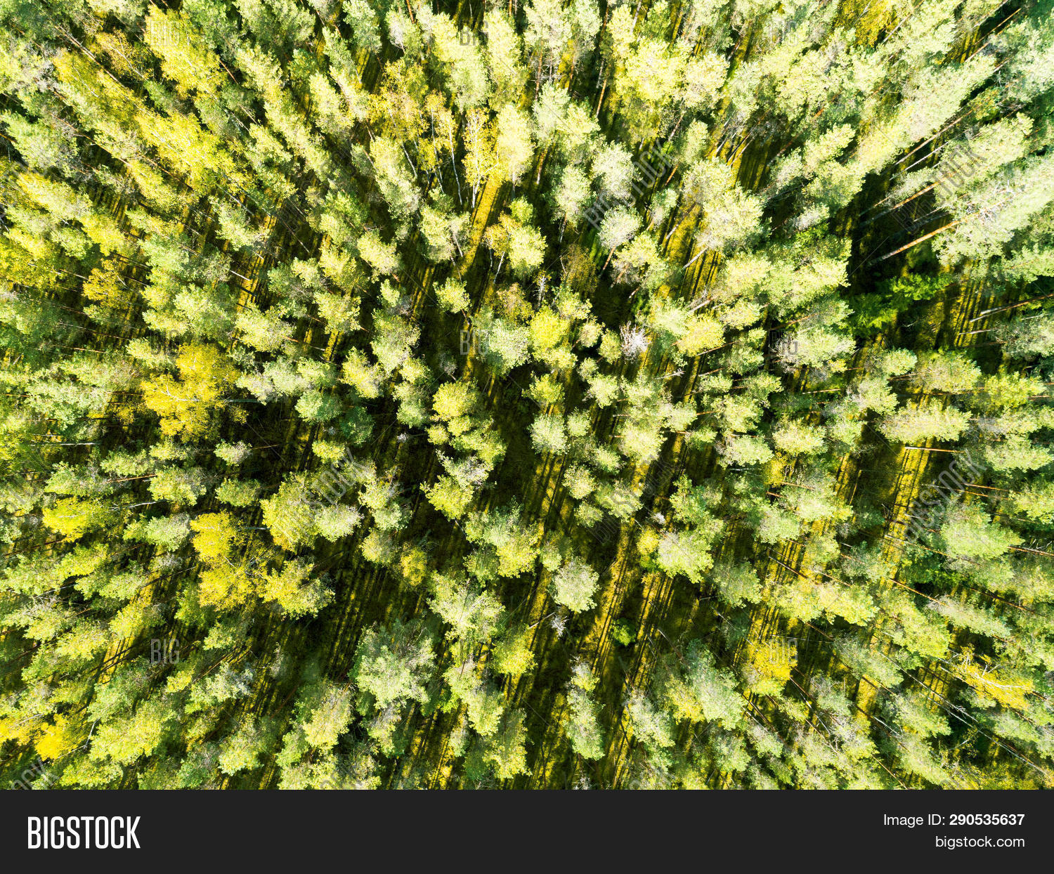 Aerial View Green Image & Photo (Free Trial) | Bigstock