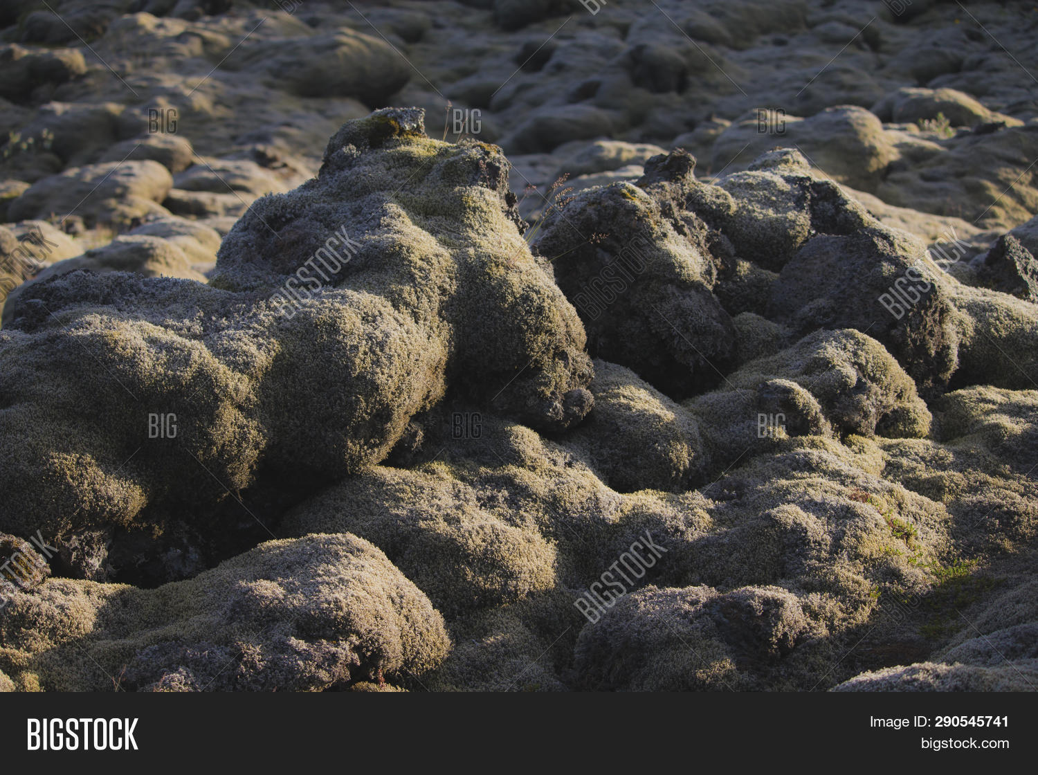 Lava Field Lava Rocks Image & Photo (Free Trial) | Bigstock