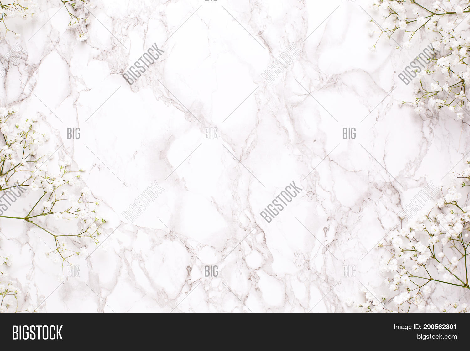 Floral Frame White Image & Photo (Free Trial) | Bigstock