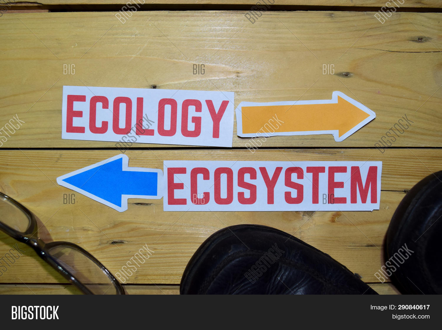 Ecology Ecosystem Image & Photo (Free Trial) | Bigstock