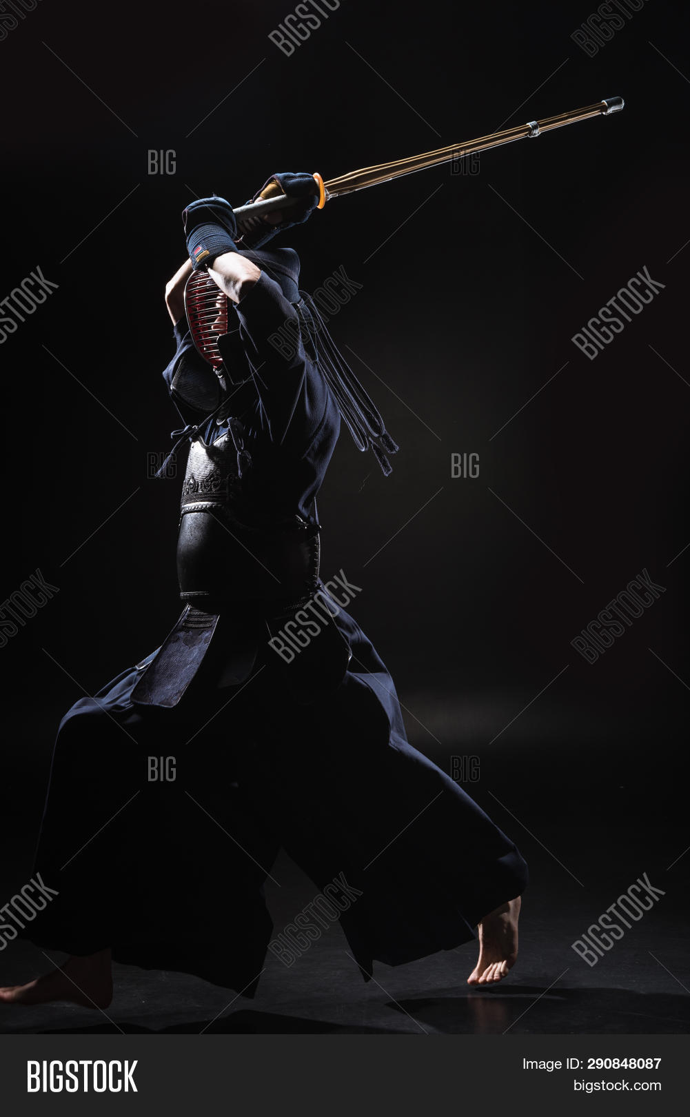 Full Length View Kendo Image & Photo (Free Trial) | Bigstock