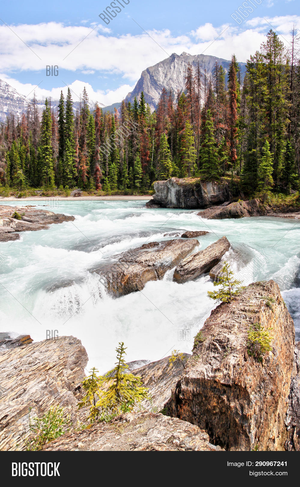 Rushing Waters Kicking Image & Photo (Free Trial) | Bigstock