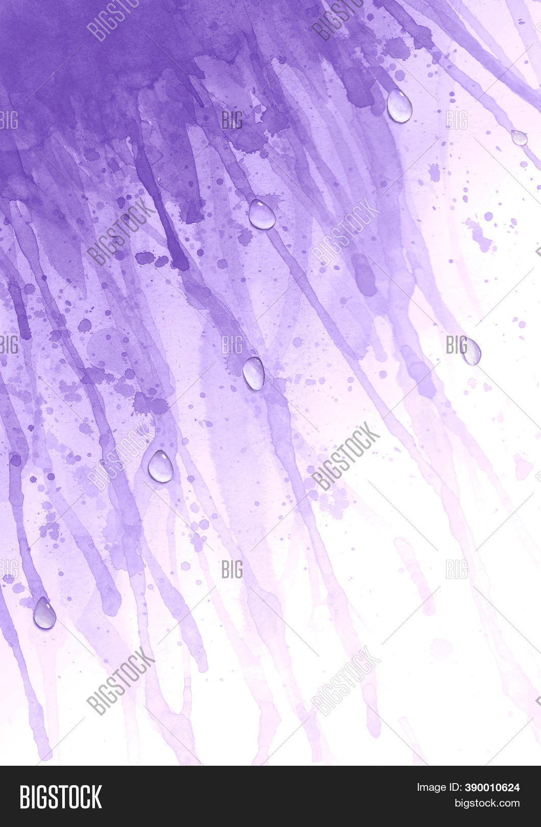 Watercolor Lavender Image & Photo (Free Trial) | Bigstock