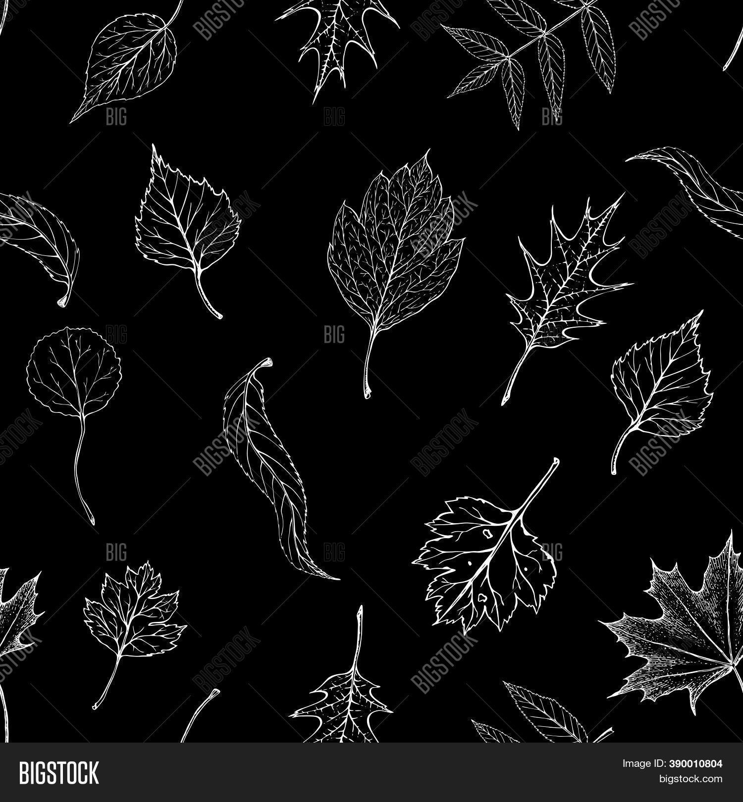 Seamless Autumn Chalk Image & Photo (Free Trial) | Bigstock