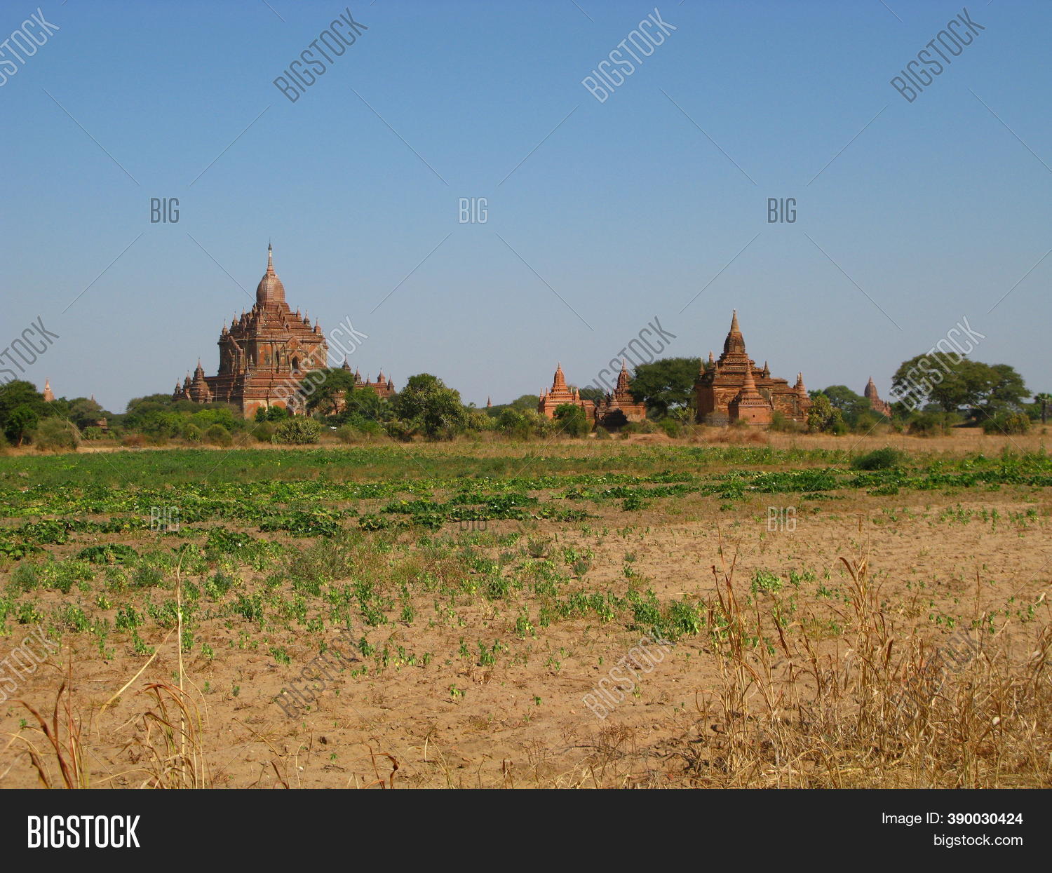 Bagan, Myanmar - 06 Image & Photo (Free Trial) | Bigstock