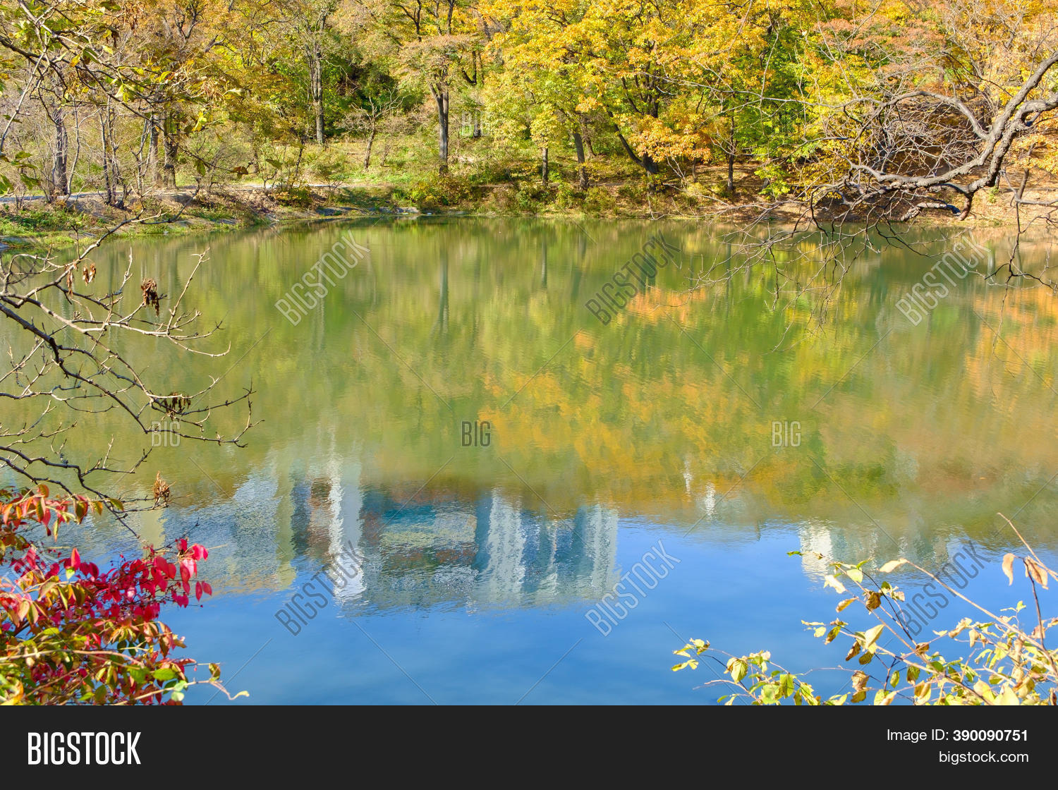Pond Near City Limits Image & Photo (Free Trial) | Bigstock