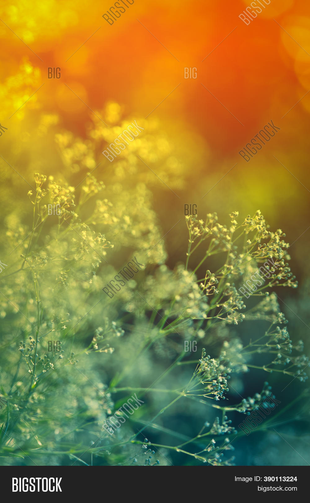 Abstract Natural Image & Photo (Free Trial) | Bigstock