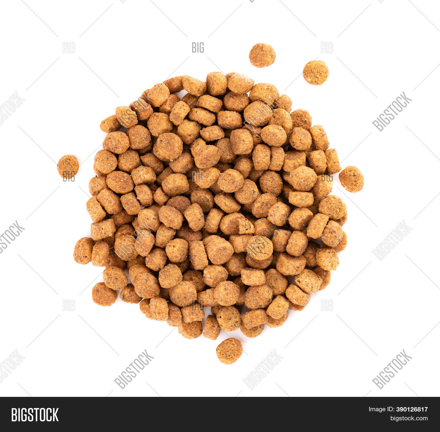 Dry Pet Food, Isolated Image & Photo (Free Trial) | Bigstock