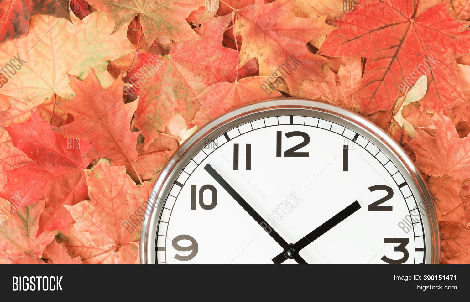 Plain Wall Clock Image & Photo (Free Trial) | Bigstock