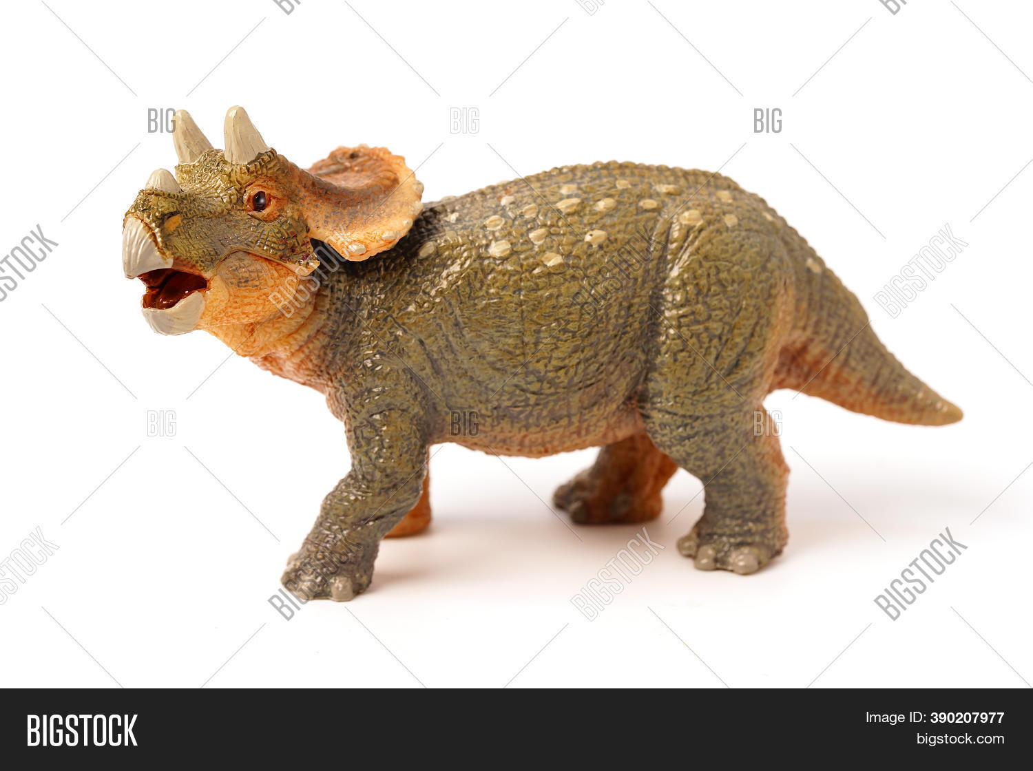 Triceratop Baby Image & Photo (Free Trial) | Bigstock