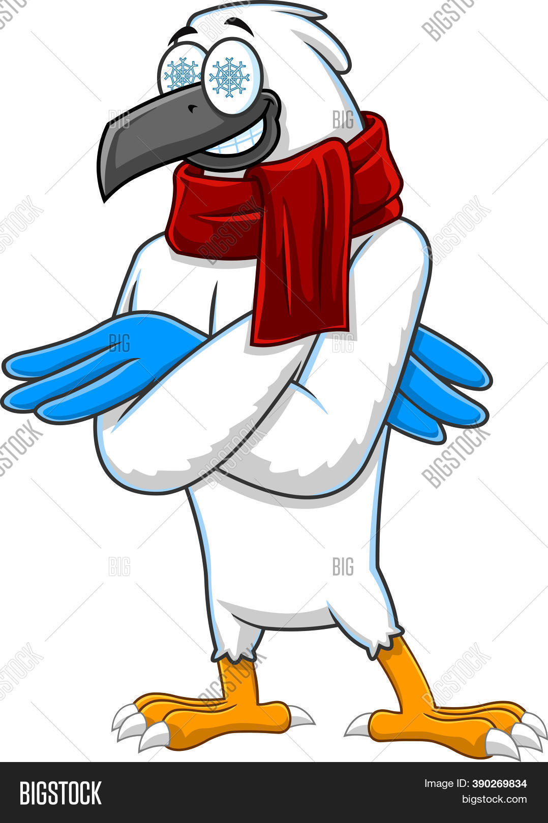 Winter Hawk Bird Cute Image & Photo (Free Trial) | Bigstock