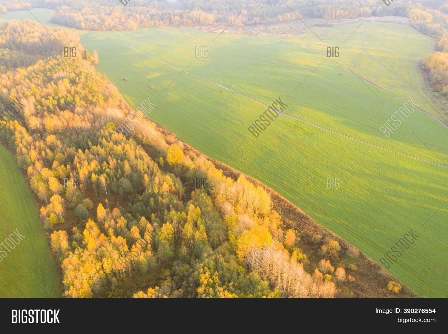 Aerial View Image & Photo (Free Trial) | Bigstock