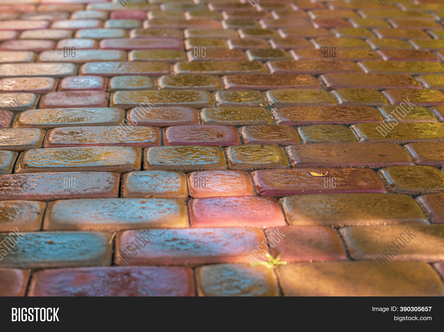 Pink Paving Slab After Image & Photo (Free Trial) | Bigstock