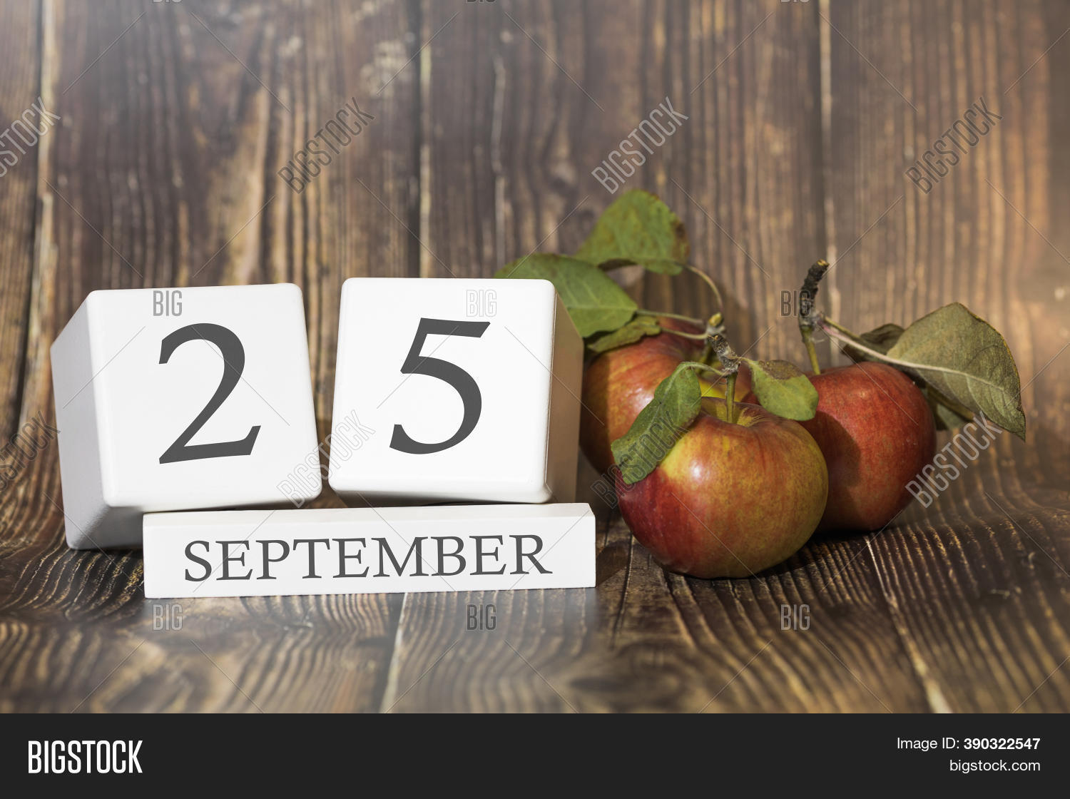 September 25. Day 25 Image & Photo (Free Trial) | Bigstock