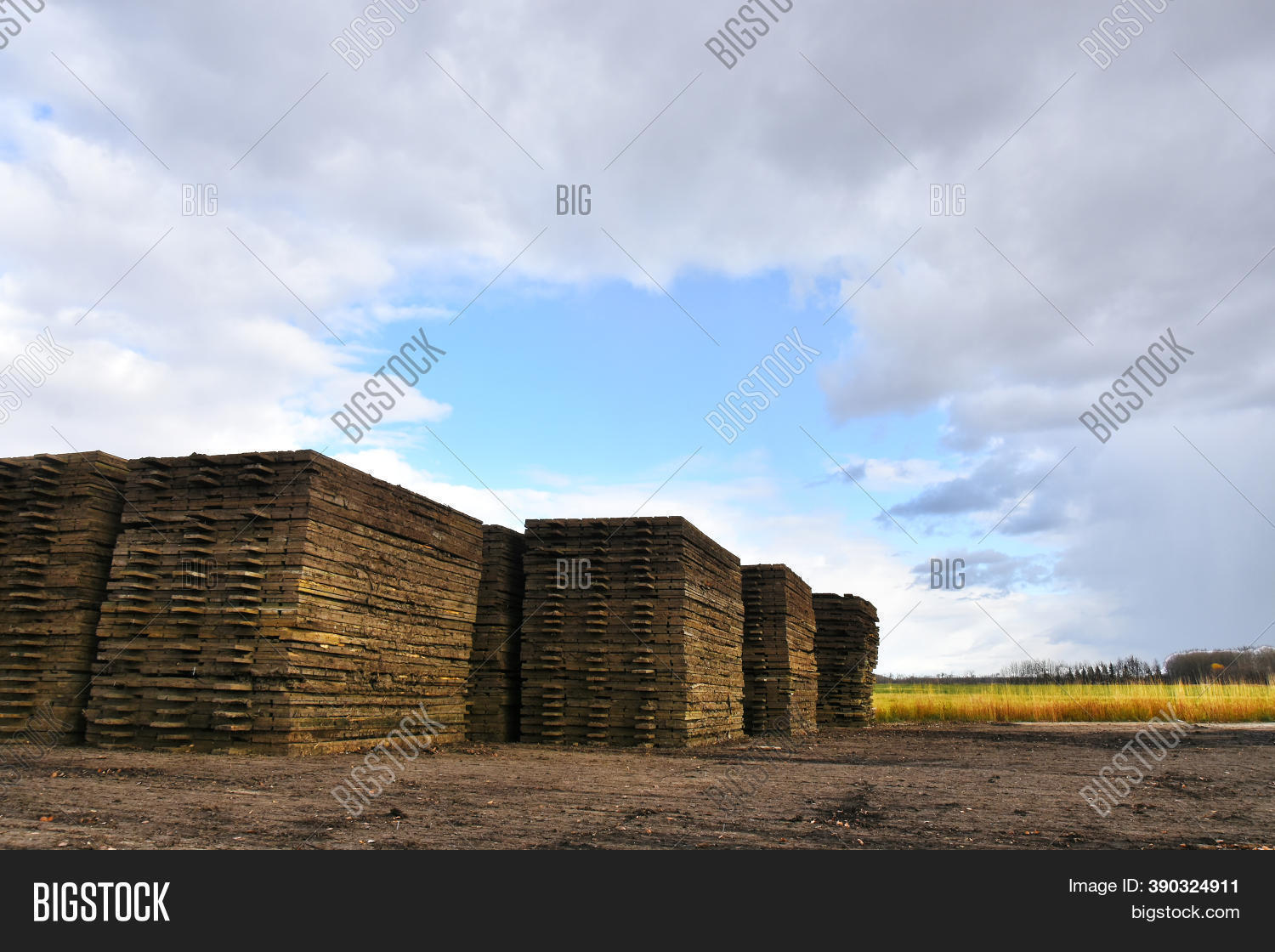 Image Wooden Swamp Image & Photo (Free Trial) | Bigstock