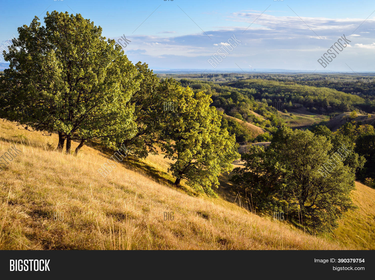 Green Valley Nature Image & Photo (Free Trial) | Bigstock