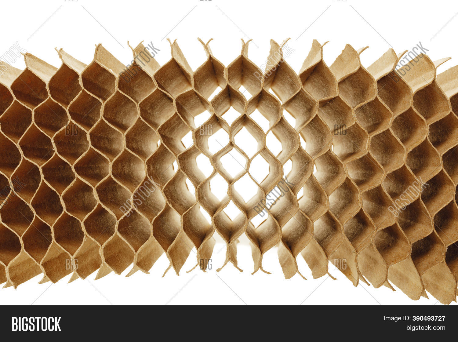 Honeycomb Cells Image & Photo (Free Trial) | Bigstock