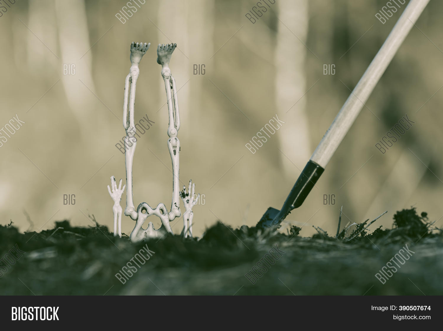 Legs Skeleton Shovel Image & Photo (Free Trial) | Bigstock