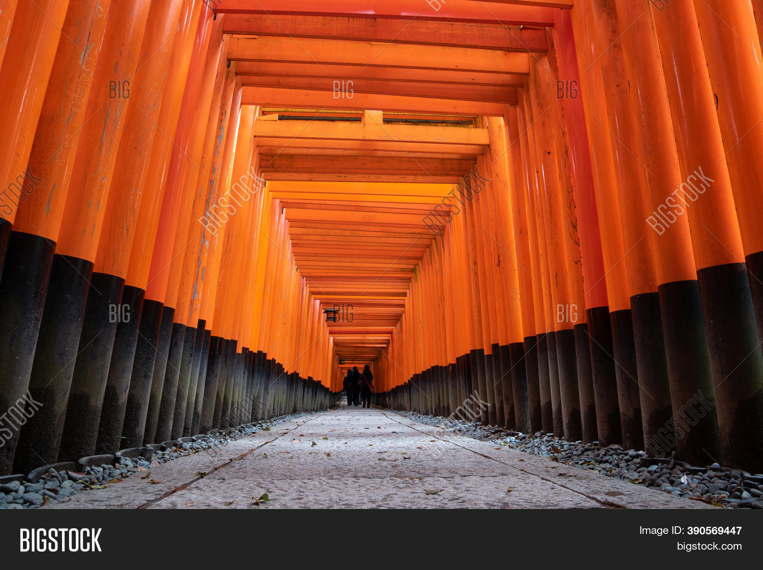 Red Torii Gates Image & Photo (Free Trial) | Bigstock