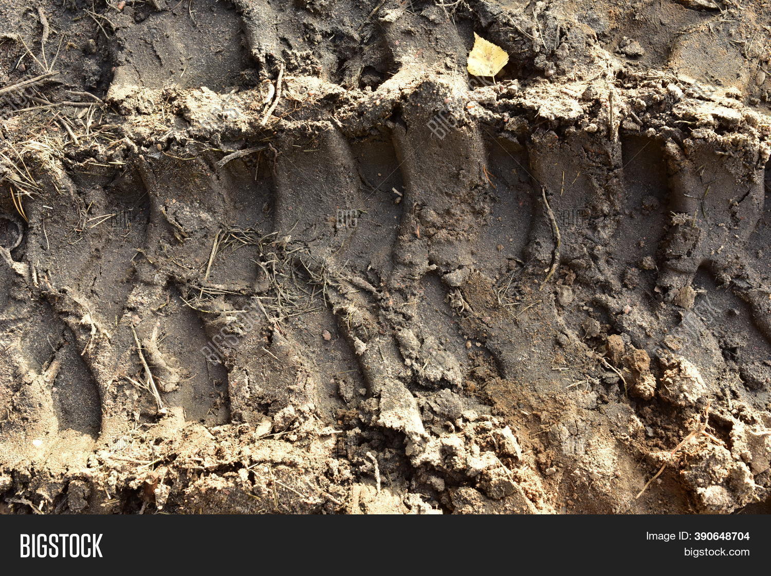 Footprint Wheel Tread Image & Photo (Free Trial) | Bigstock