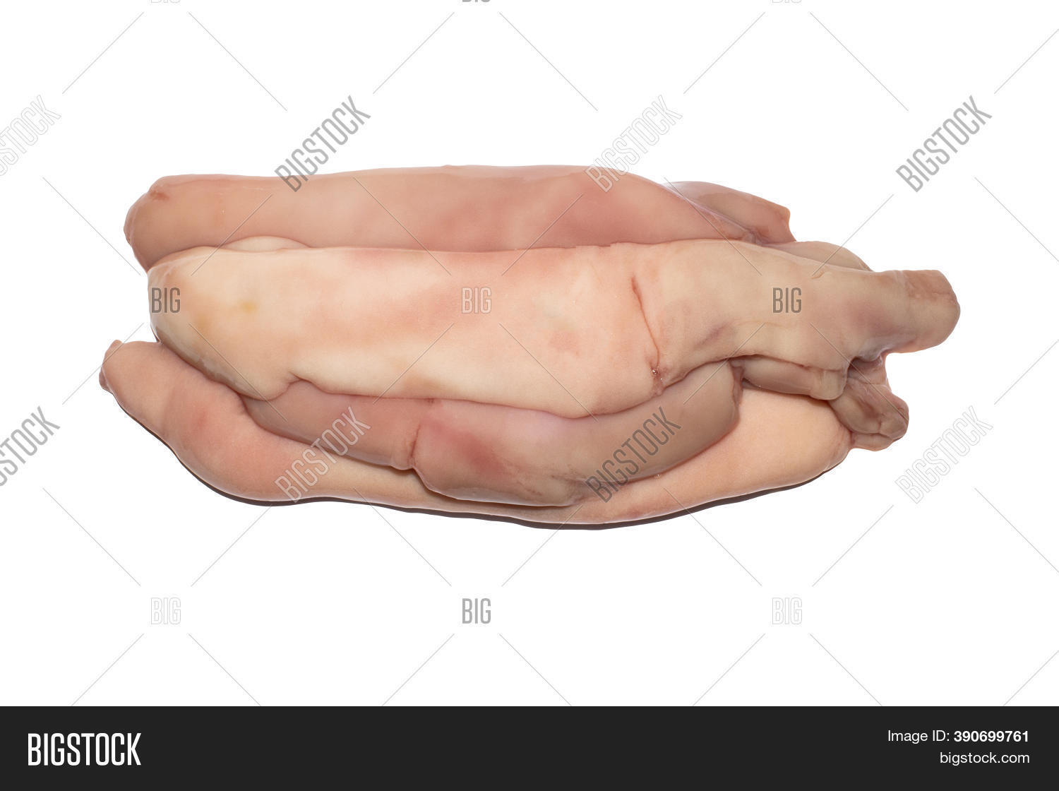 Milt.testes Salmon Image & Photo (Free Trial) | Bigstock