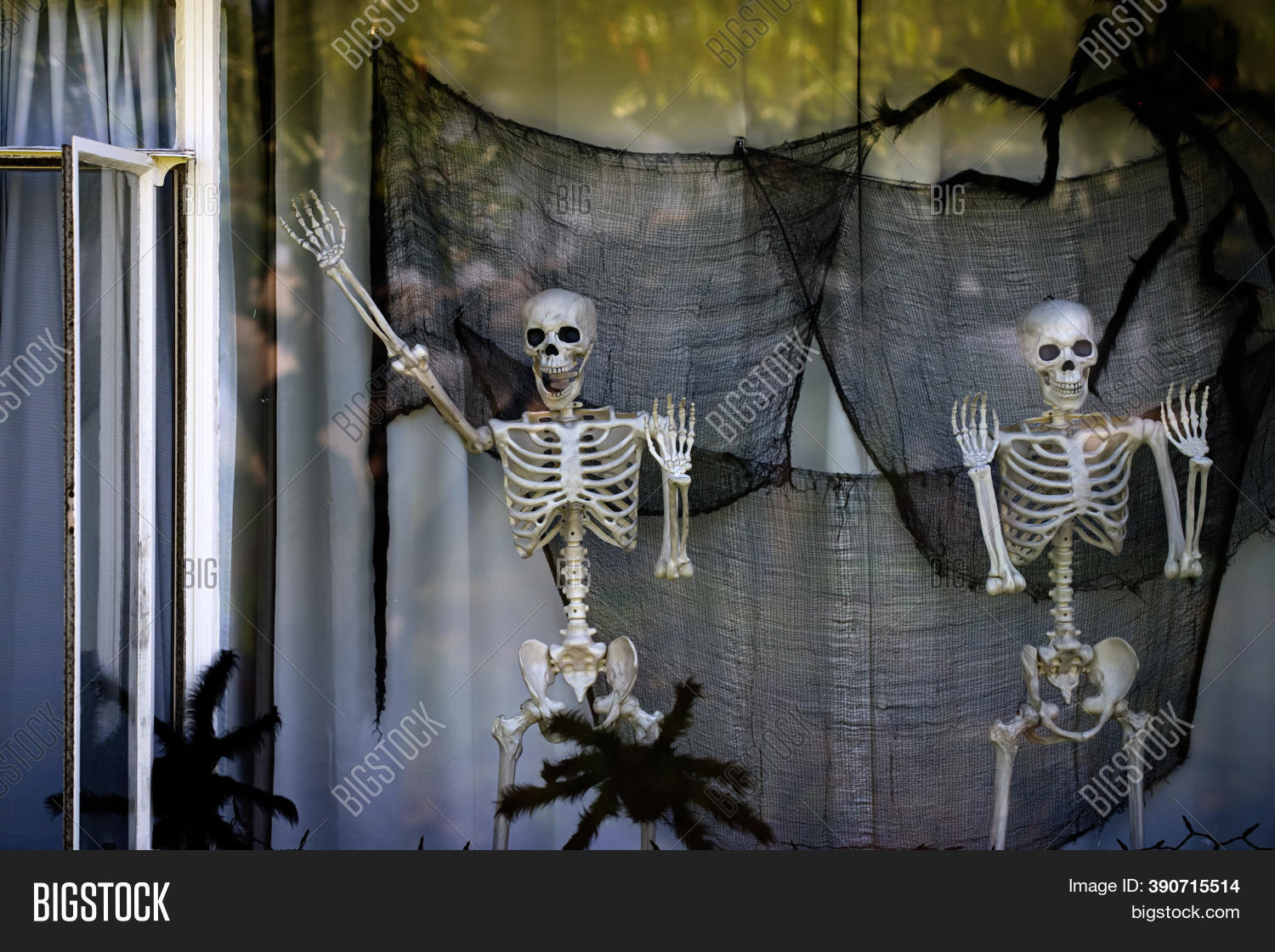 Skeletons Waving Image & Photo (Free Trial) | Bigstock
