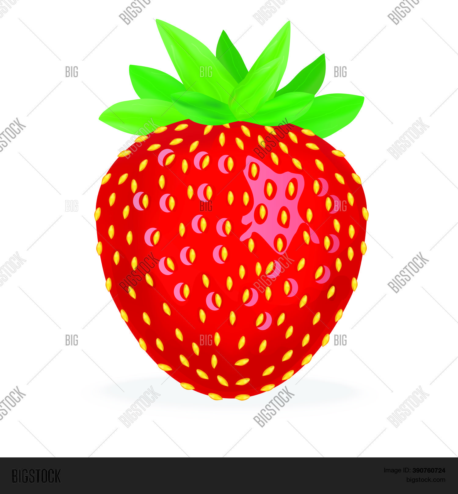 Strawberry Isolated Vector & Photo (Free Trial) | Bigstock