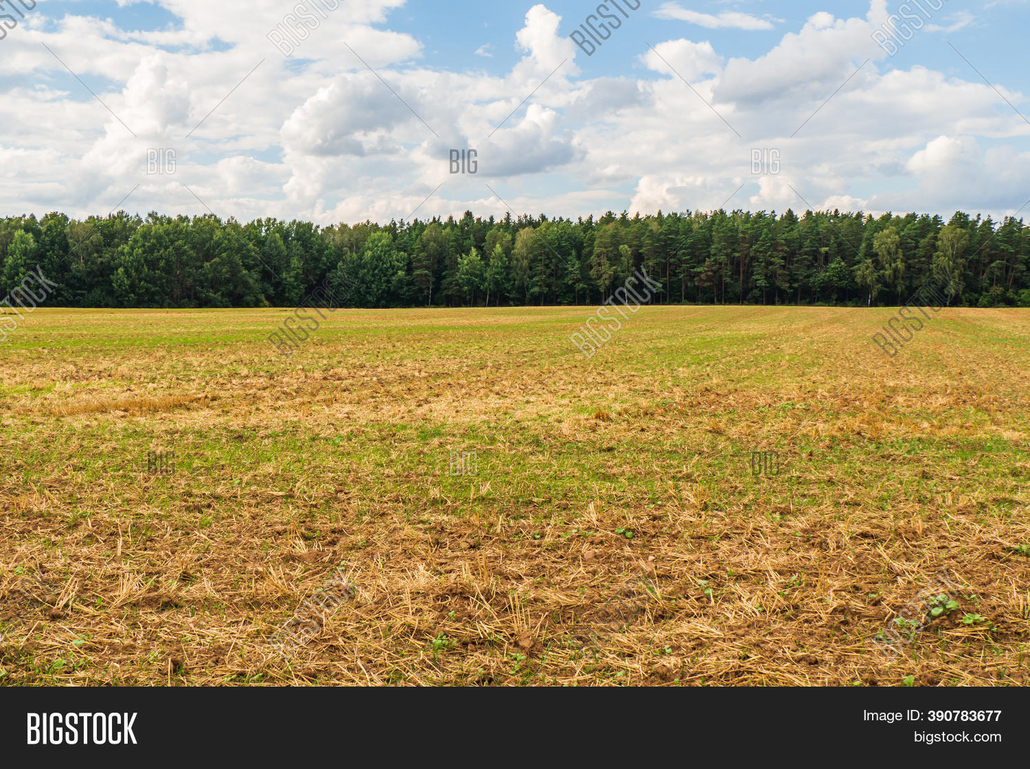 Countryside Field. Image & Photo (Free Trial) | Bigstock