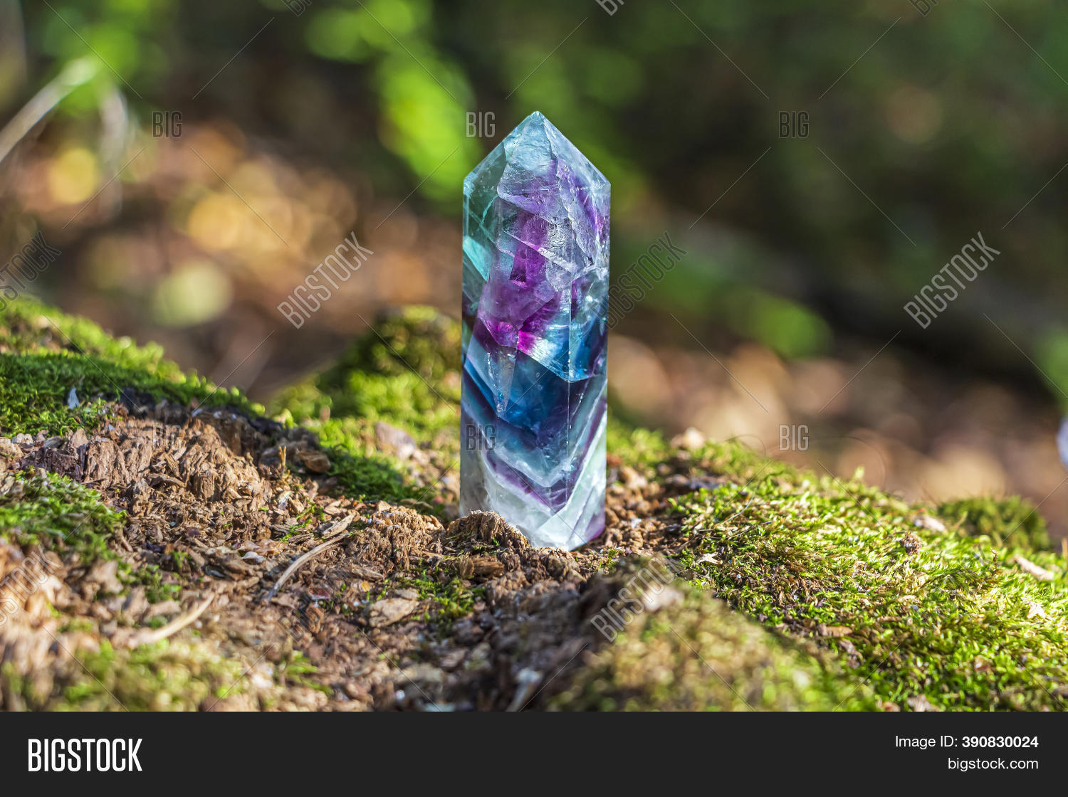 Magic Still Life Image & Photo (Free Trial) | Bigstock