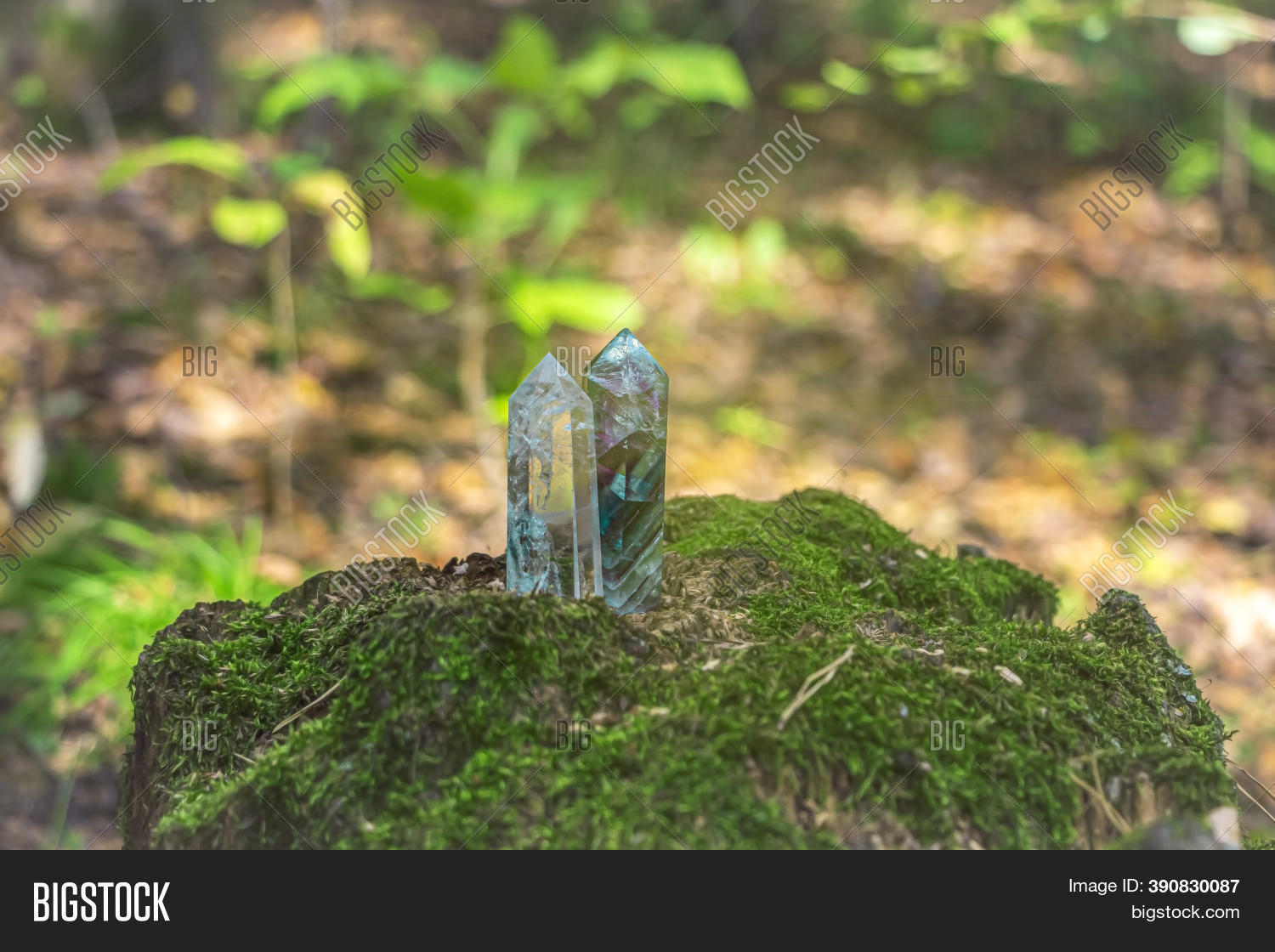 Magic Still Life Image & Photo (Free Trial) | Bigstock