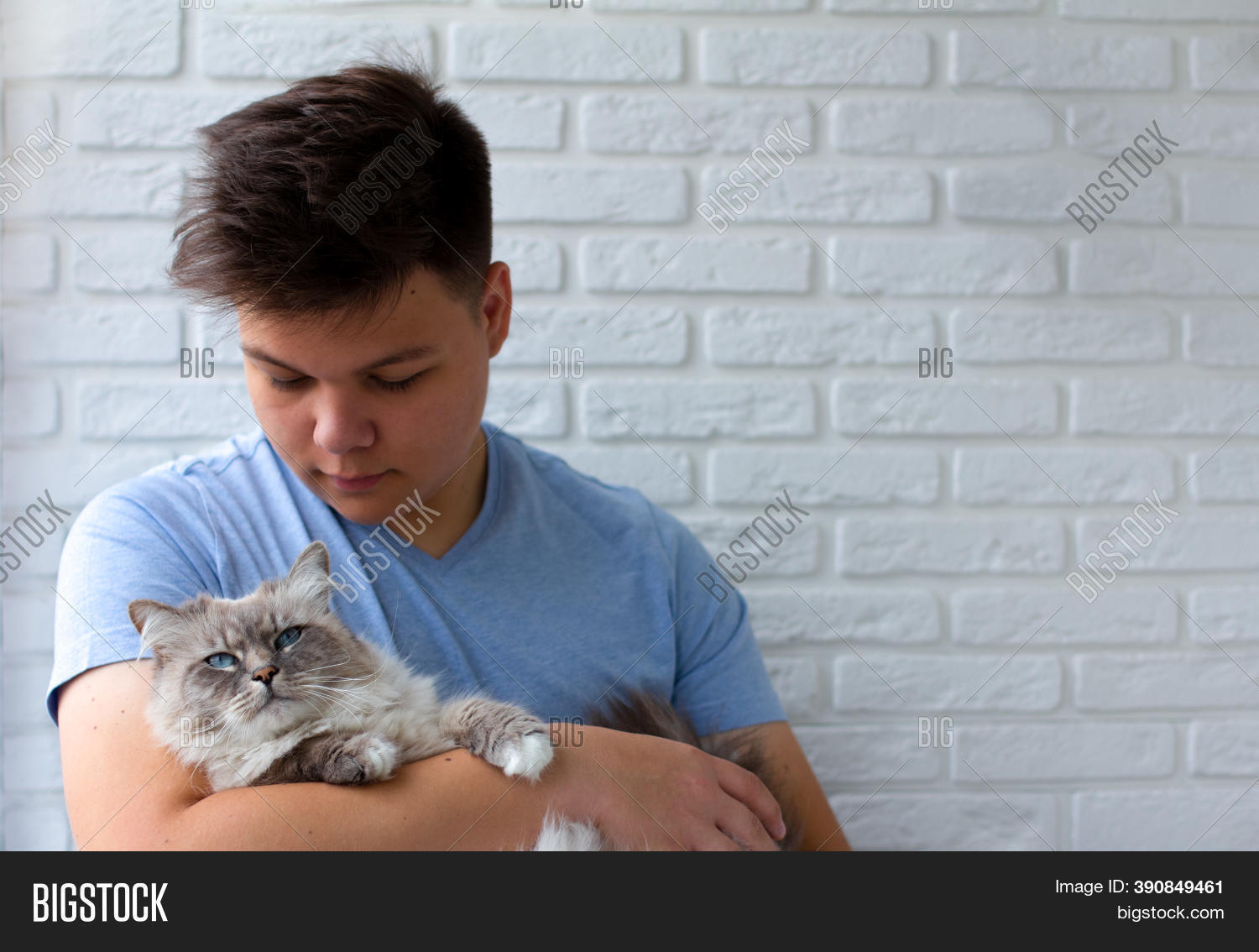 Cat Man, Portrait Image & Photo (Free Trial) | Bigstock