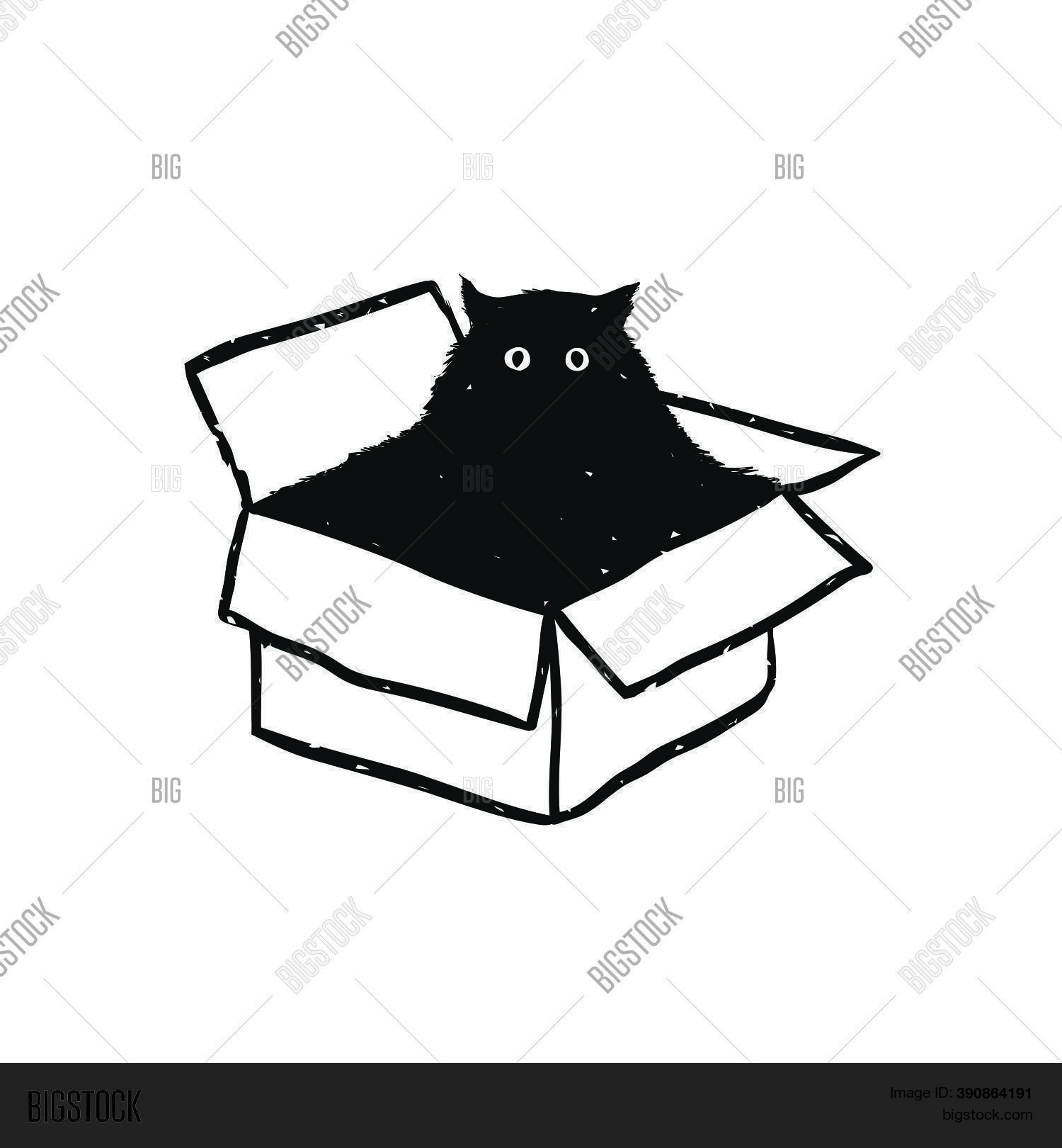 Black Cat Box. Funny Vector & Photo (Free Trial) | Bigstock