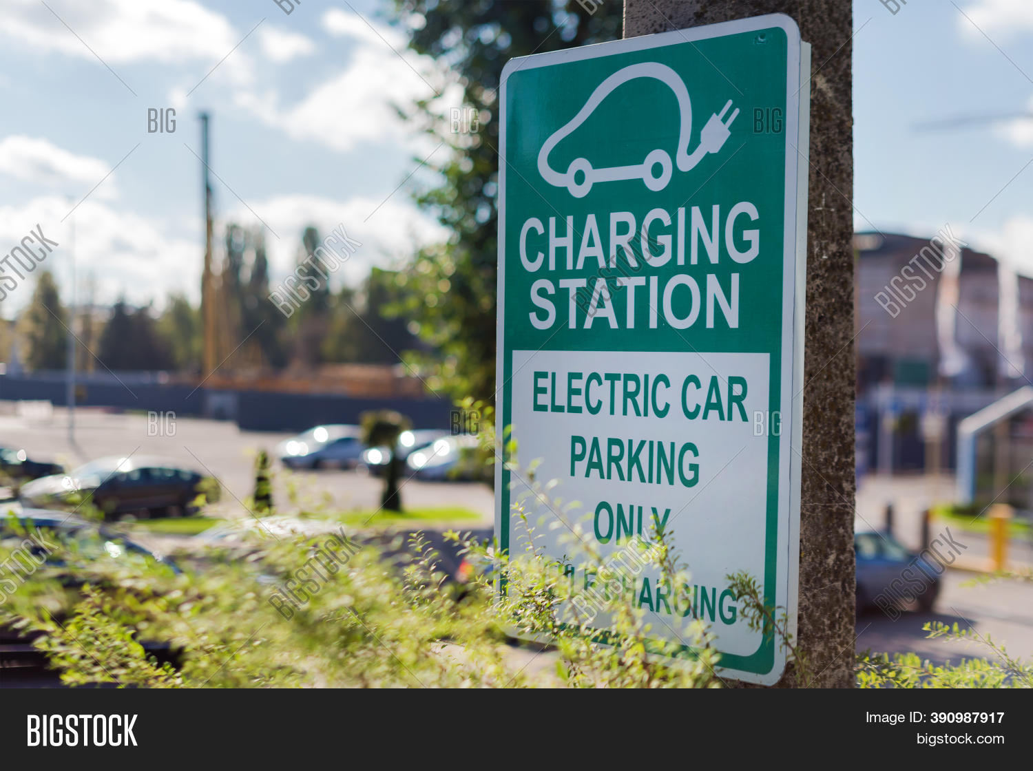 Electric Car Road Sign Image & Photo (Free Trial) | Bigstock