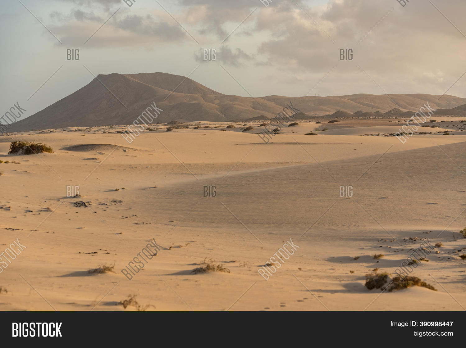 Dunas De Corralejo Image & Photo (Free Trial) | Bigstock