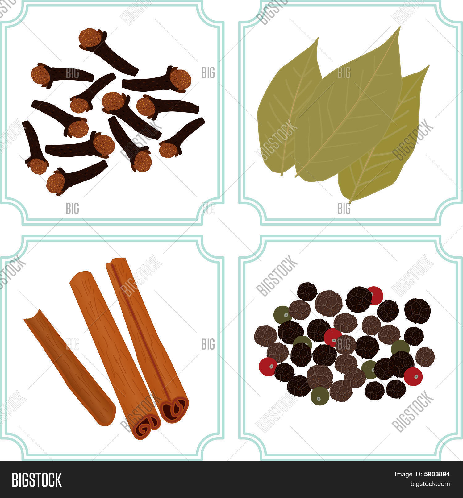 Culinary Spices 1 Vector & Photo (Free Trial) | Bigstock