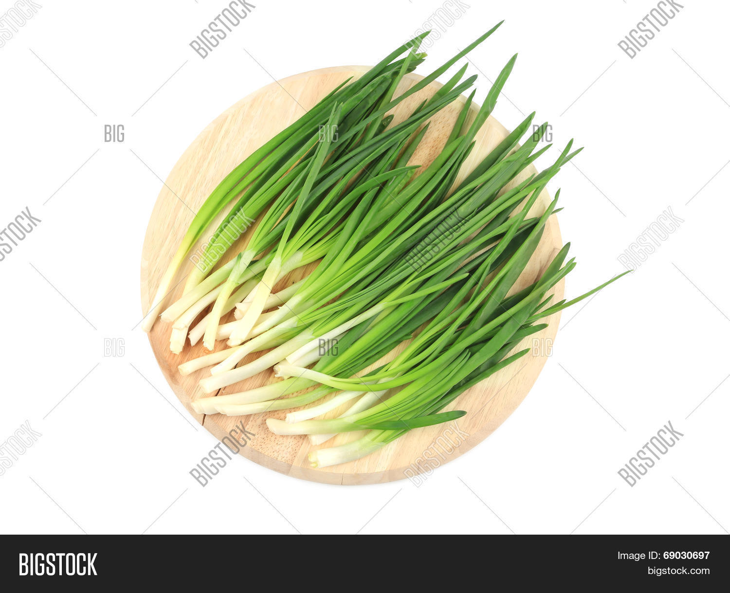 Fresh Spring Onion On Image & Photo (Free Trial) | Bigstock