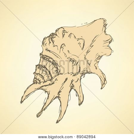 Sketch Sea Shell Vector & Photo (Free Trial) | Bigstock