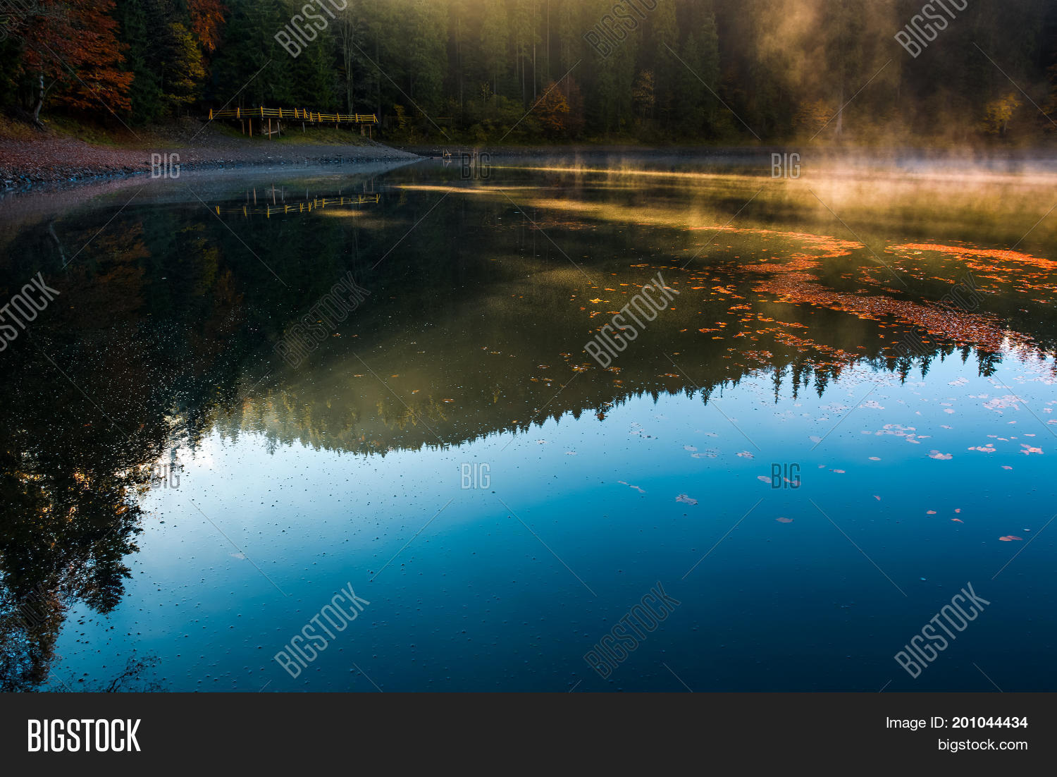 Fog Rise Forest Lake Image & Photo (Free Trial) | Bigstock