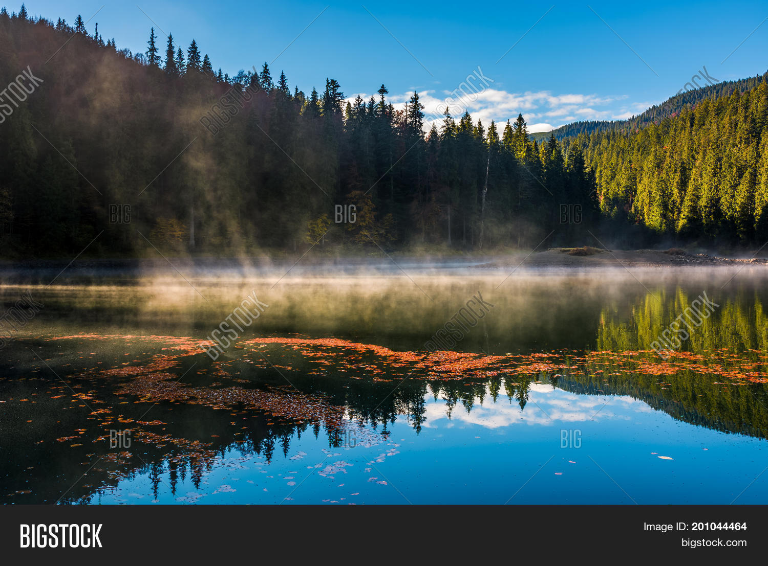 Fog Rise Forest Lake Image & Photo (Free Trial) | Bigstock